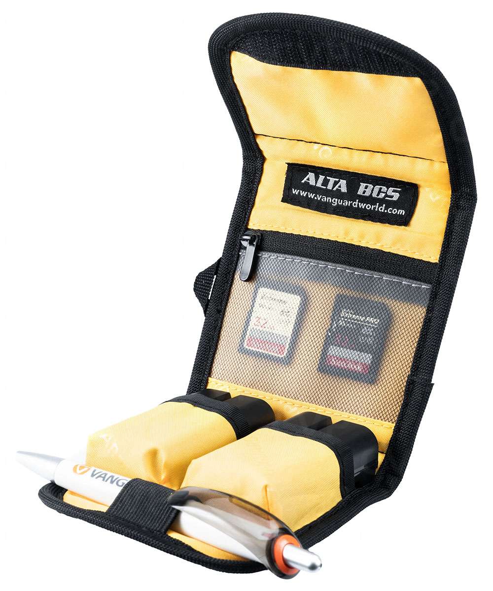 Vanguard Alta BCS Small Battery Case | CVP