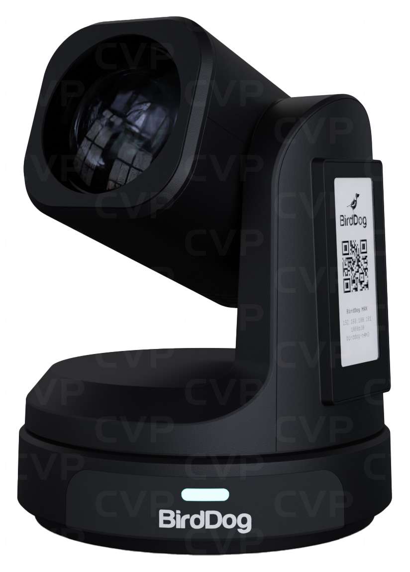 Buy - Birddog MAX PTZ Camera - Black (BDMAXB)