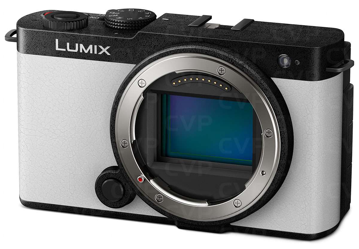 Panasonic LUMIX S9 - Smokey White | CVP