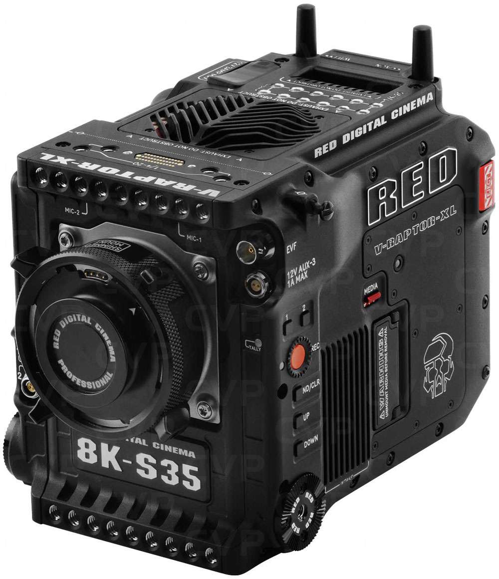 Buy - RED V-RAPTOR XL 8K S35 Gold Mount (710-0349)