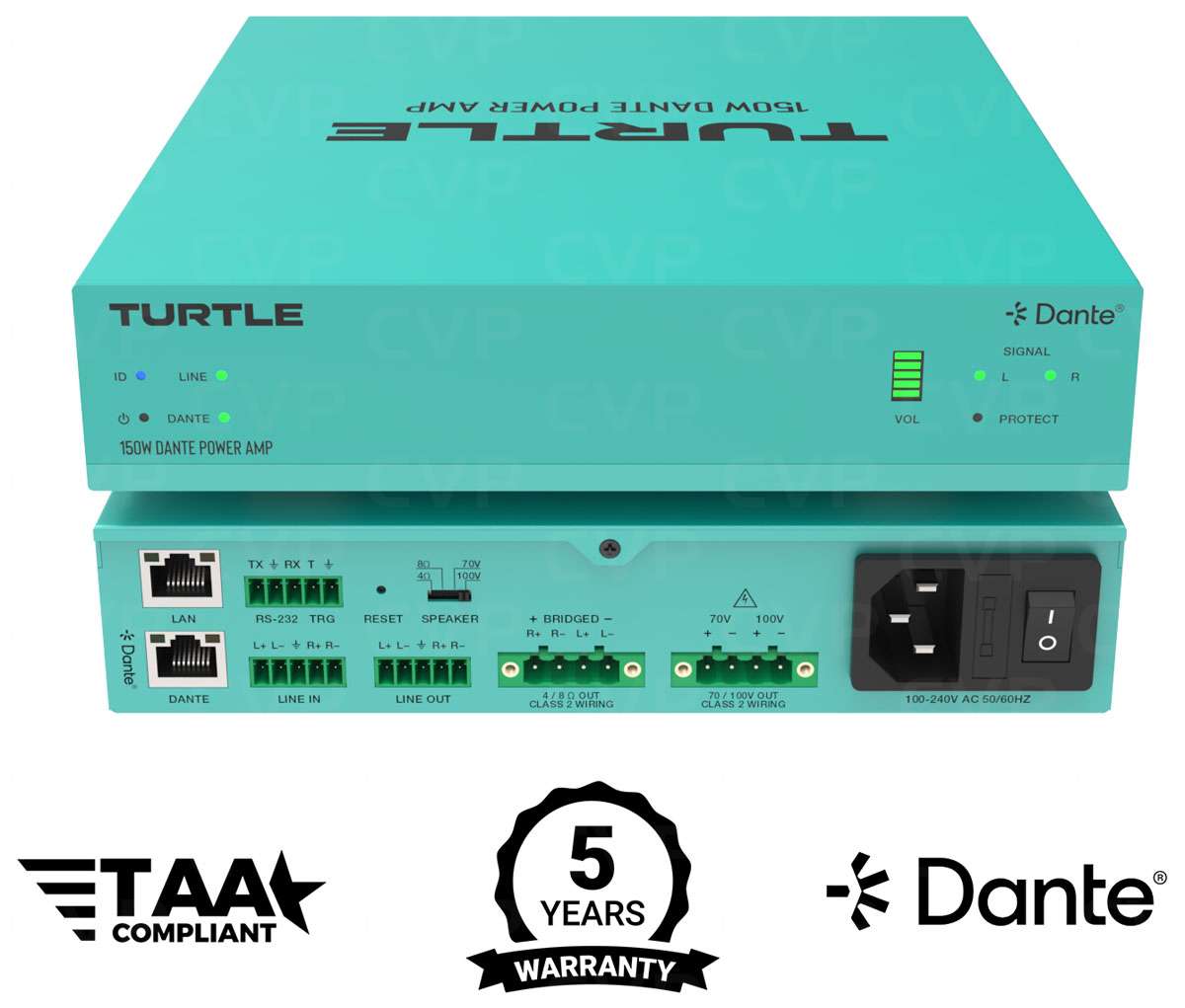 Turtle Dante Power Amp 150 | CVP