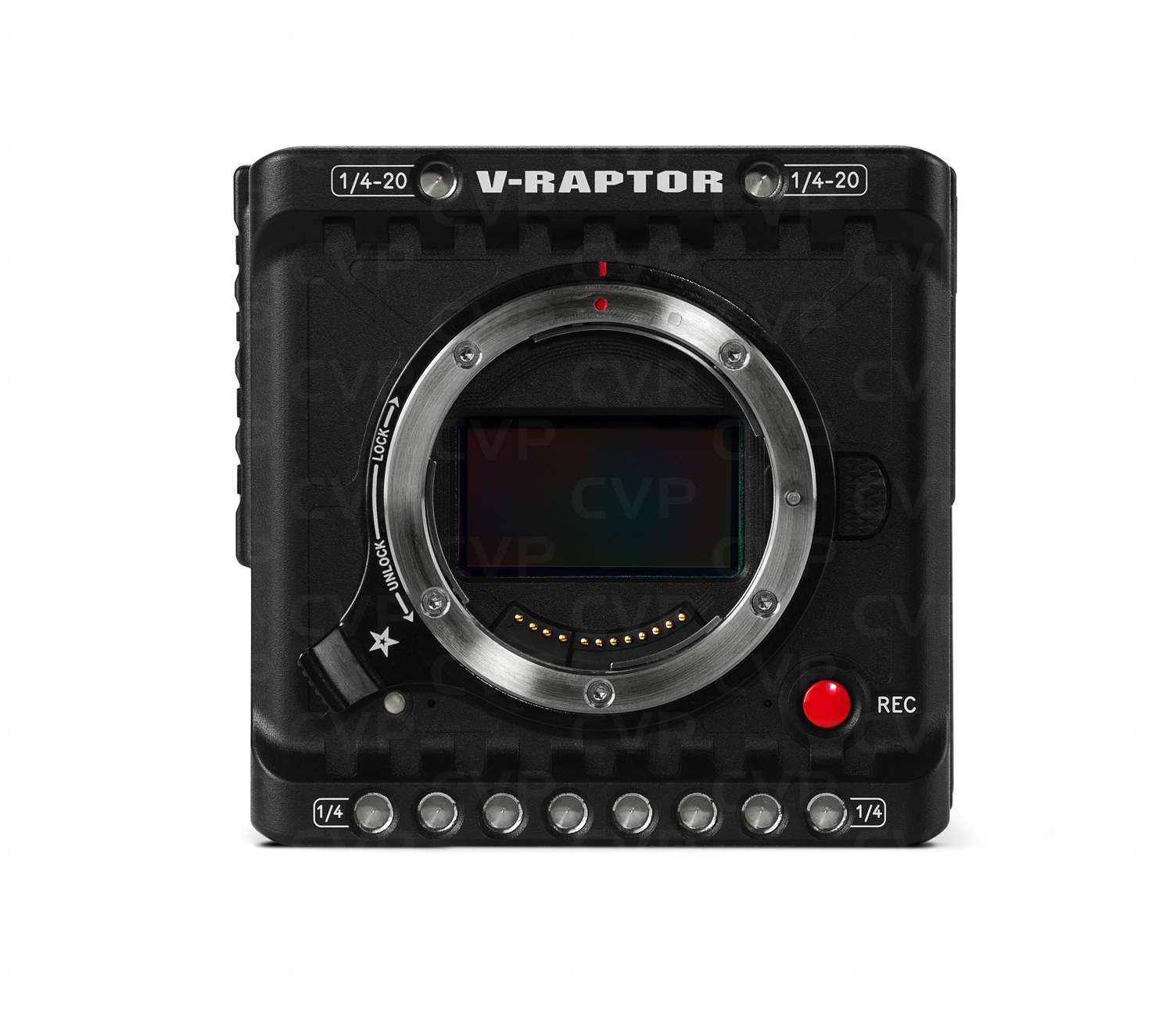 RED V-RAPTOR 8K VV | CVP