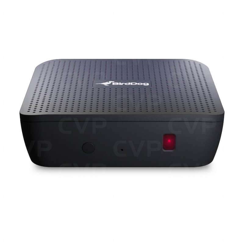 Buy - BirdDog BD-PLAY (BDPLAY) PLAY HDMI2.0 4K NDI HX2 Decoder with ...