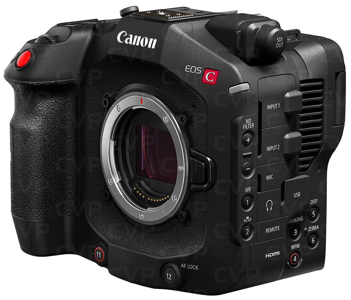 Canon EOS C80 Cinema Camera | CVP