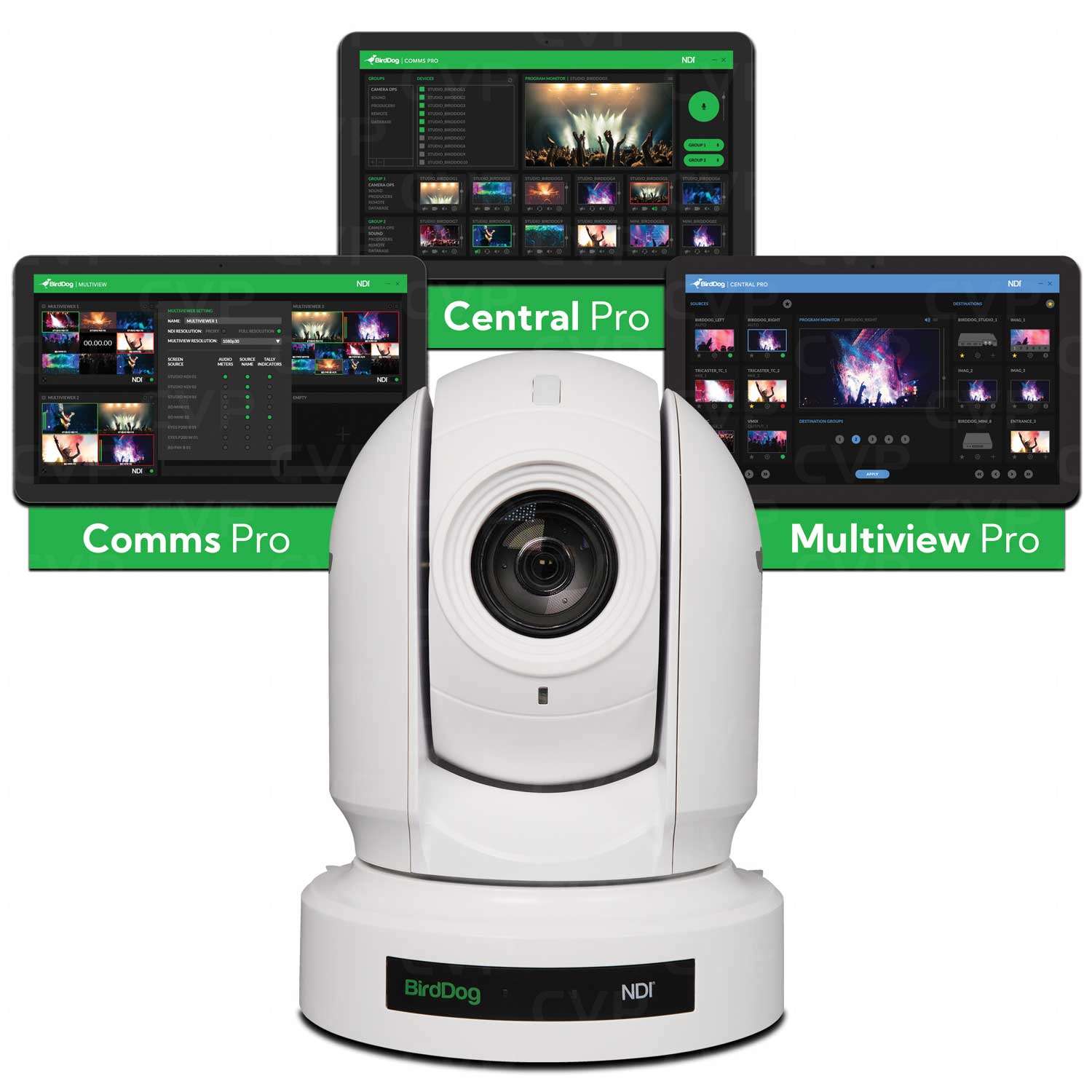 Buy - BirdDog P200 Education Bundle - White (BDP200WEDU)