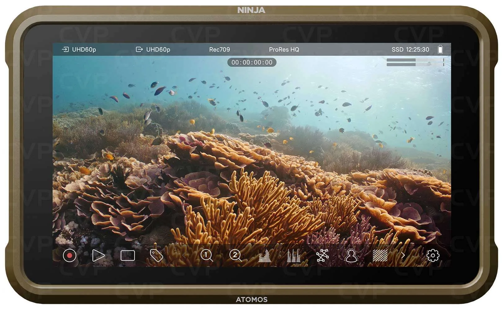 Atomos Ninja HDR Monitor/Recorder | CVP
