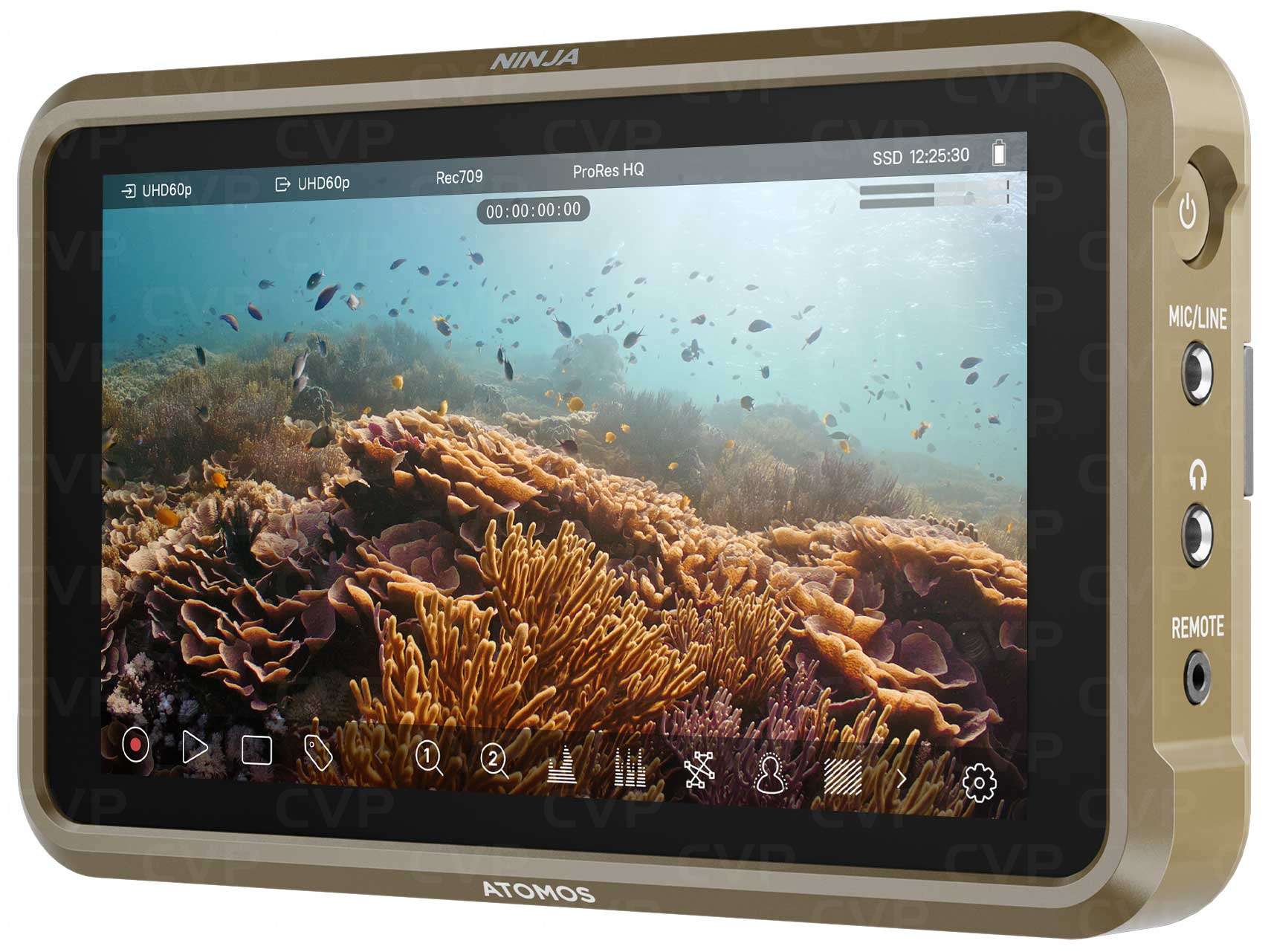 Atomos Ninja HDR Monitor/Recorder | CVP