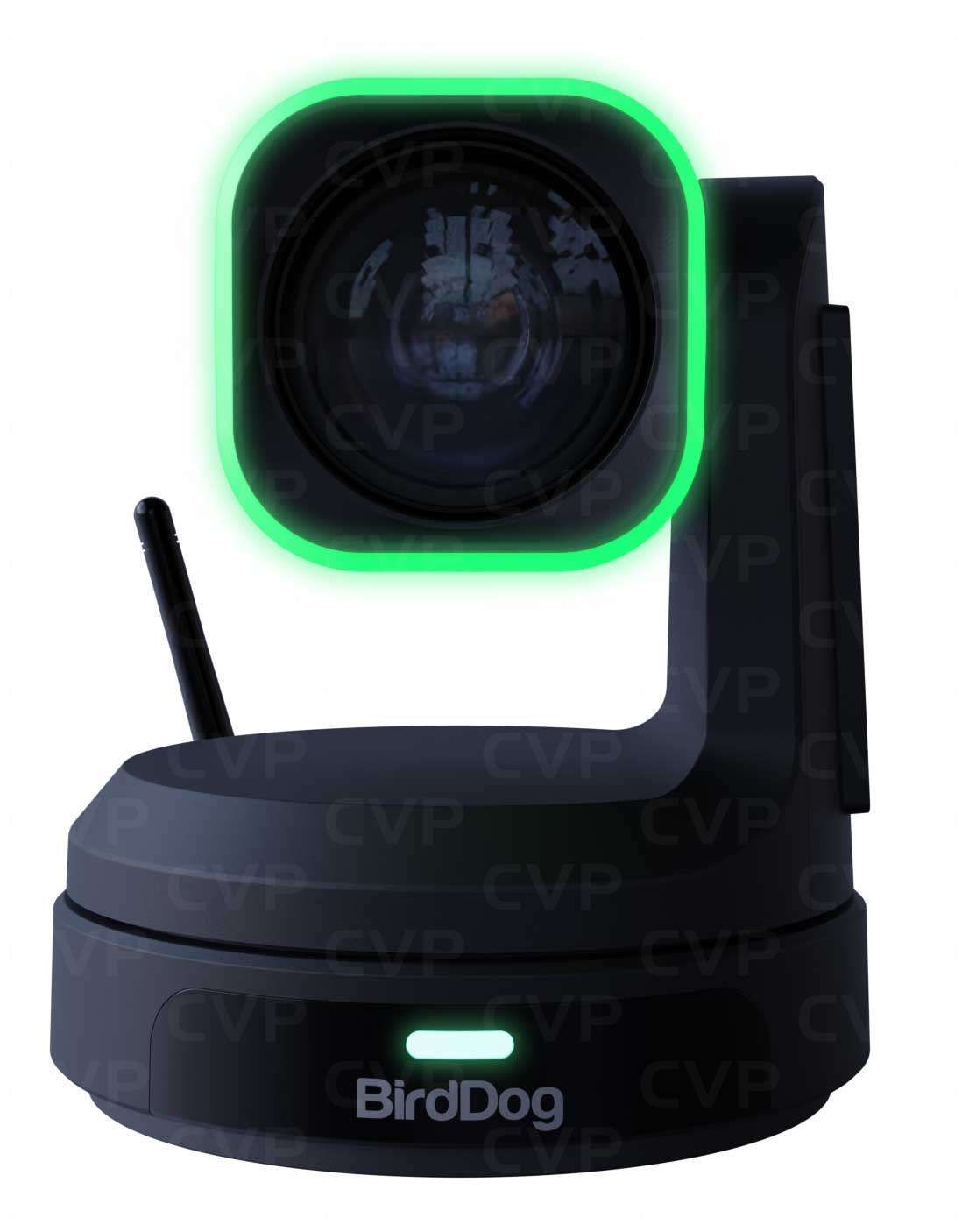 Buy - BirdDog X1 Ultra UHD PTZ Camera - Black (BDPX1UB)