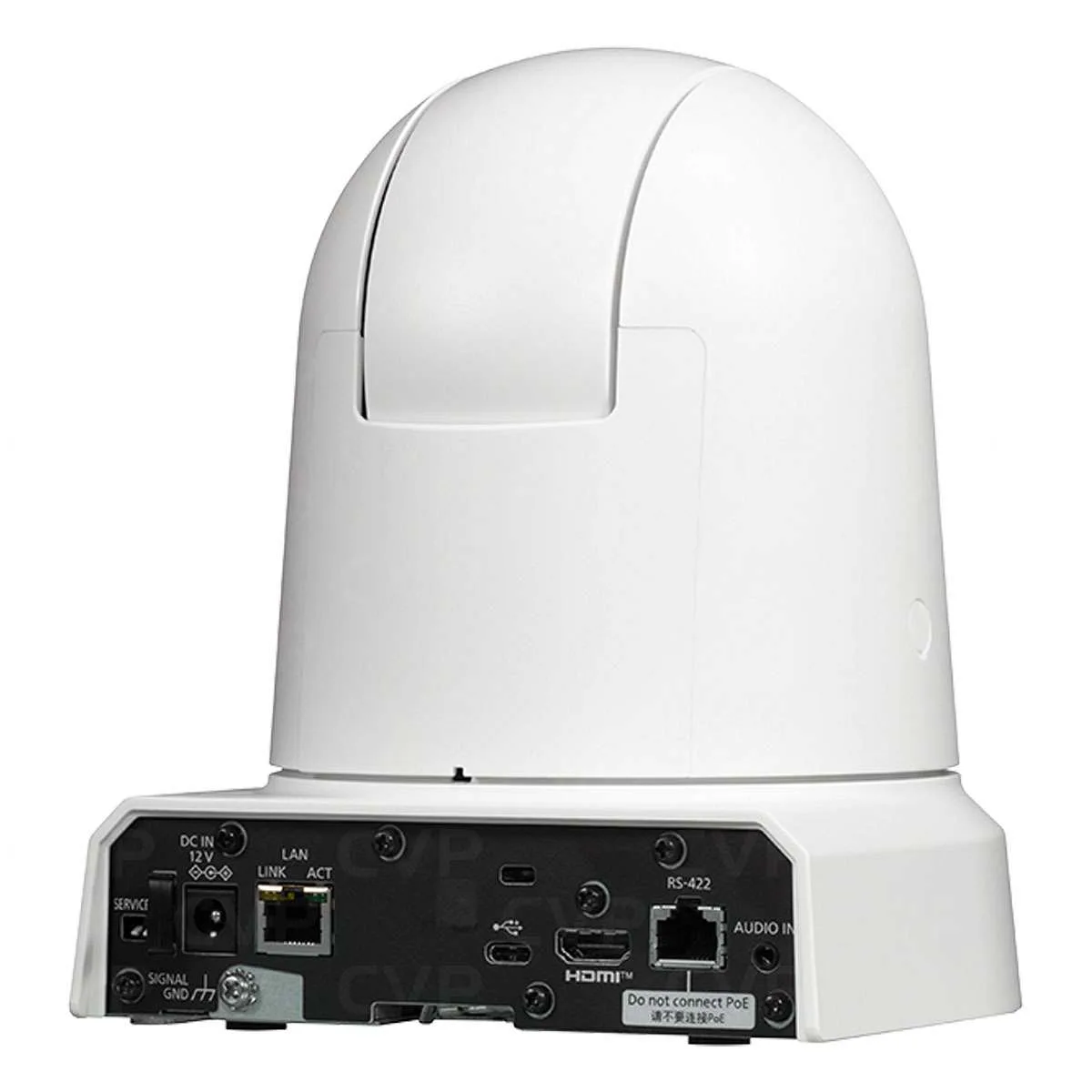 Buy - Panasonic UE40 4K PTZ Camera - White (AW-UE40WEJ)