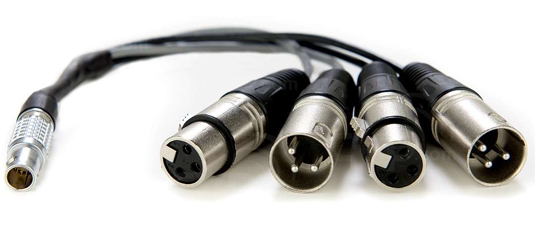 Buy - Ex-Showroom Atomos Lemo to XLR Cable (ATOMCAB016)