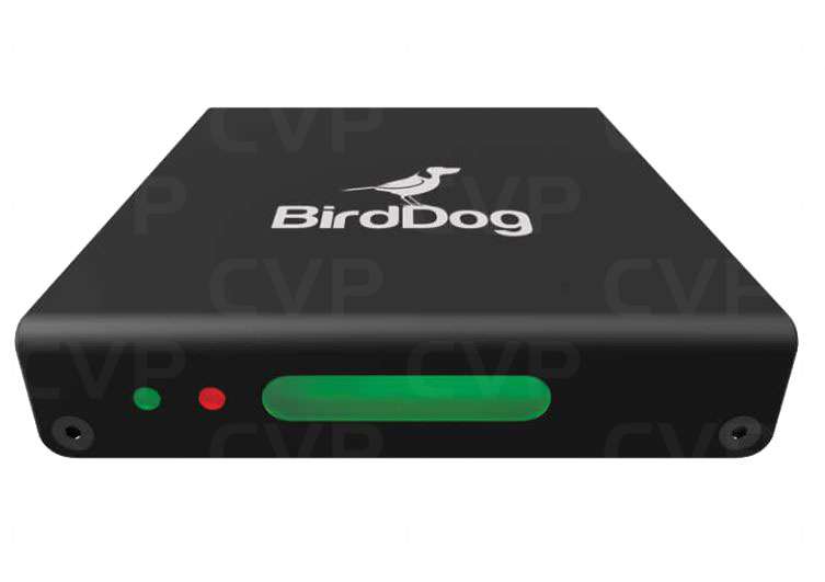 Buy - BirdDog BDMINIHDMI (BD-MINI-HDMI) Mini HDMI to NDI Encoder/Decoder - Includes Comms Lite