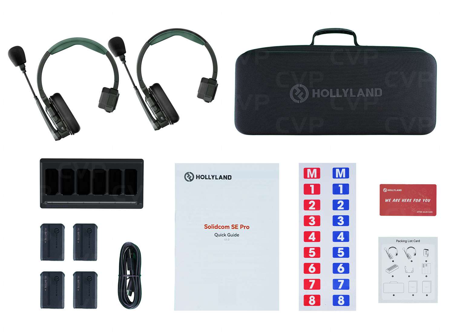 Hollyland Solidcom SE Pro 2S | CVP