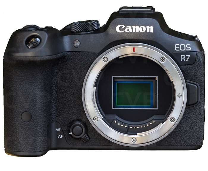 Buy - Canon EOS R7 - Body Only (5137C025)