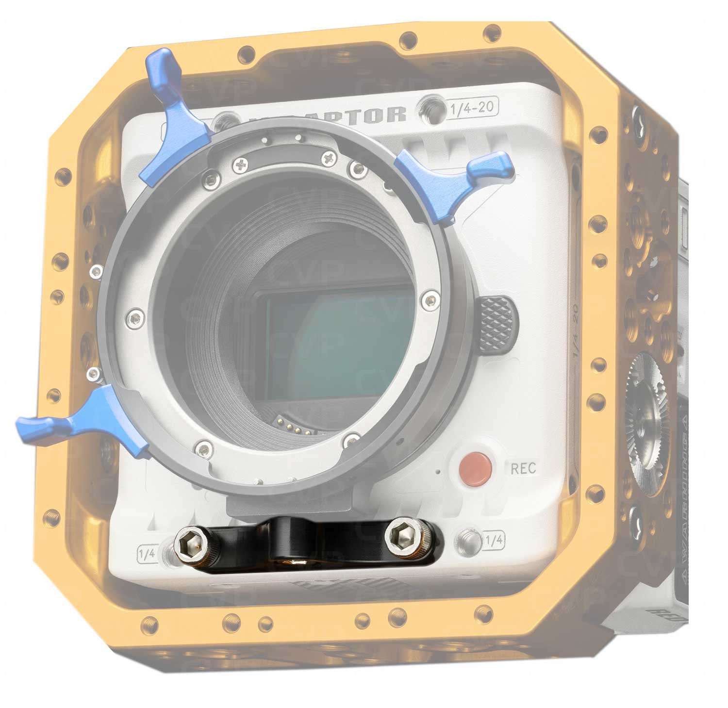 Buy - Ex-Showroom Ignite Digi RF Adapter Support for RED V-RAPTOR (IG ...