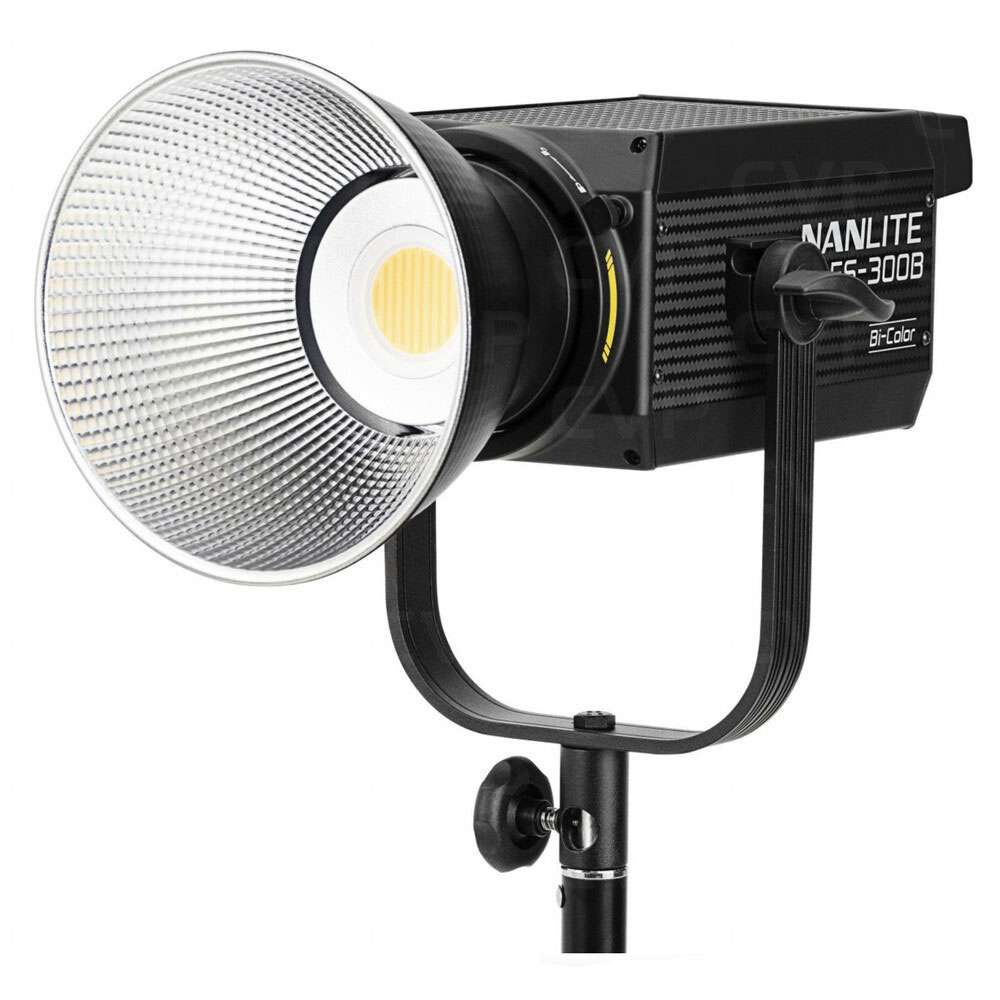 Buy - Nanlite FS300B (12-2043)
