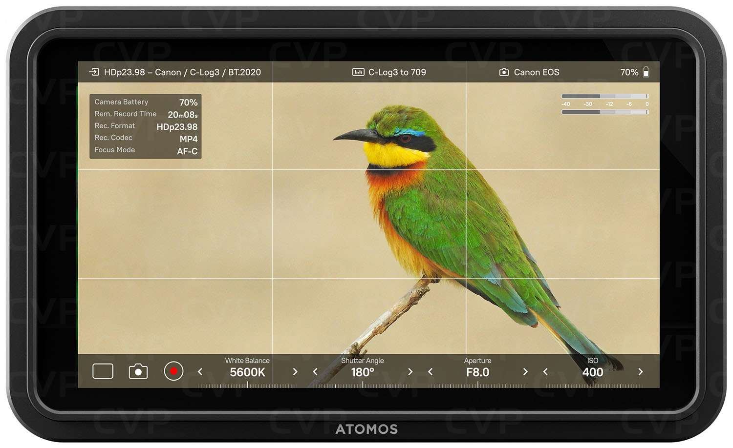 Atomos SHINOBI II | CVP