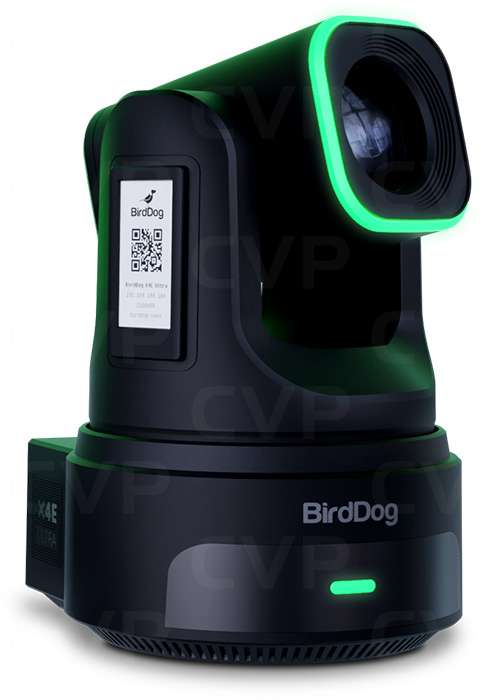 BirdDog X4E Ultra UHD PTZ Camera - Black | CVP